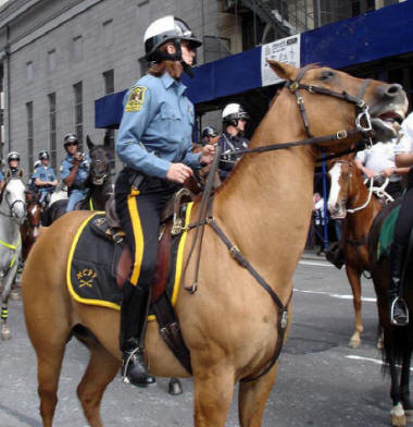 Genuine Leather Puttees for Police & Motorcycle Riders